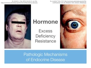 Principles of Hormone Testing | PDF