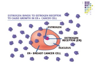 Hormone therapy in beast cancer | PPT