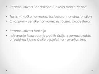 Hormoni i endokrini sistem | POT