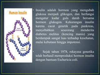 Hormon insulin | PPTX
