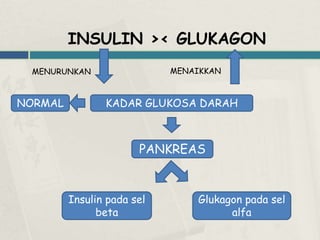 Hormon insulin dan glukagon | PPT