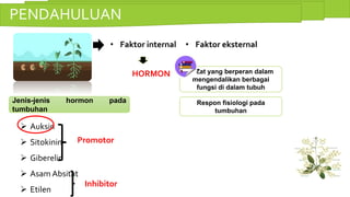 Hormon irnawati g2 l1 19 002 | PPTX