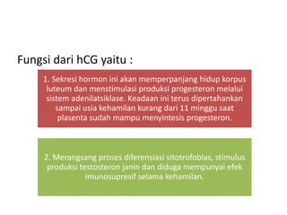 hormon_kehamilan.pptx