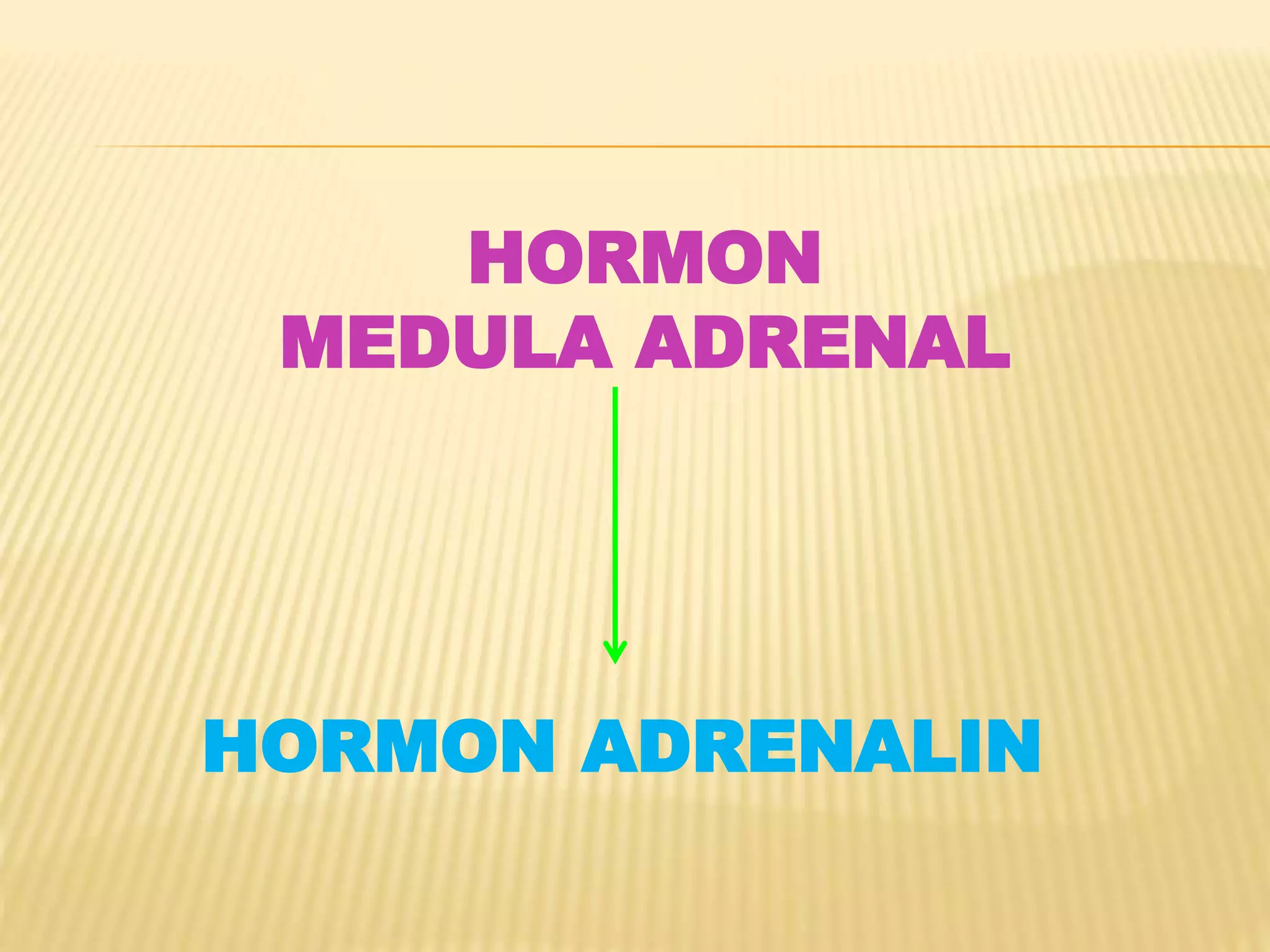 Hormon kelenjar adrenalin | PPTX