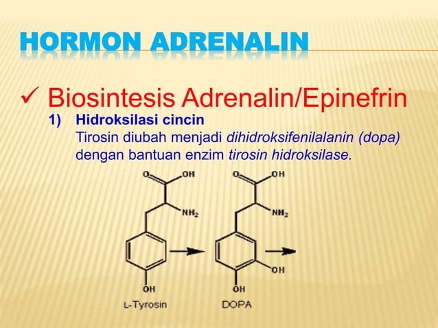 Hormon kelenjar adrenalin | PPTX