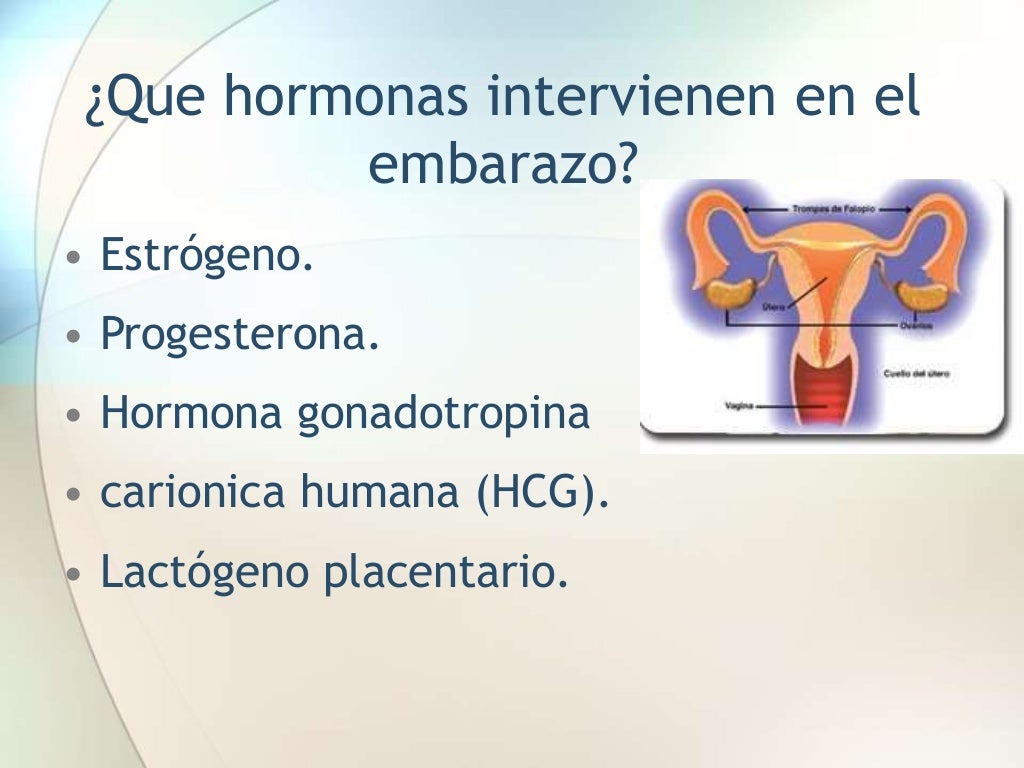 Hormonas en el embarazo Hormonas en el embarazo