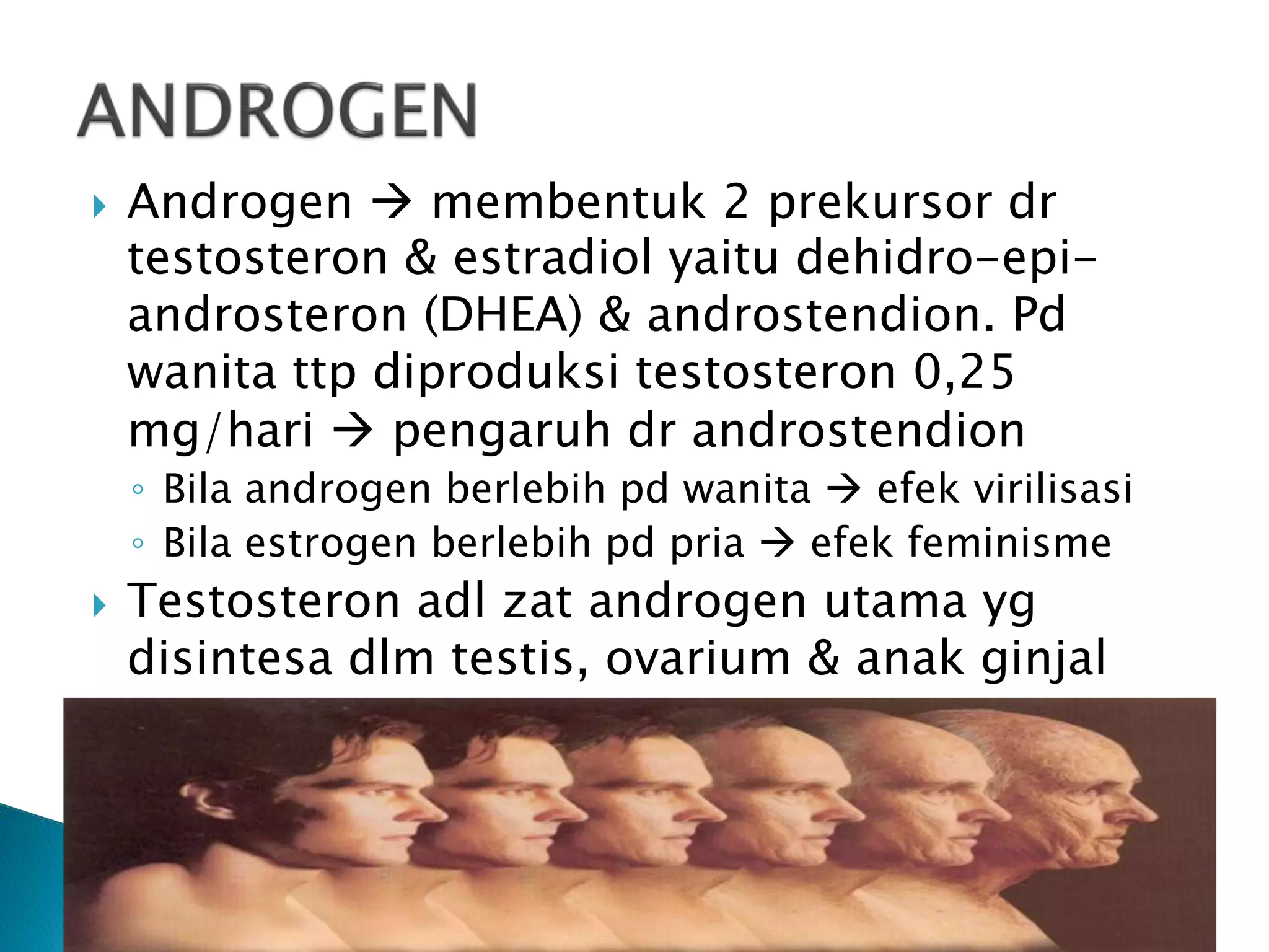 HORMON PADA WANITA.pptx