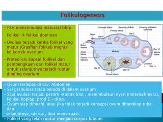 HORMON PADA WANITA.pptx