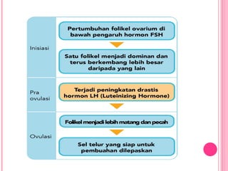 Hormon reproduksi. dan fisiologi reproduksi | PPT