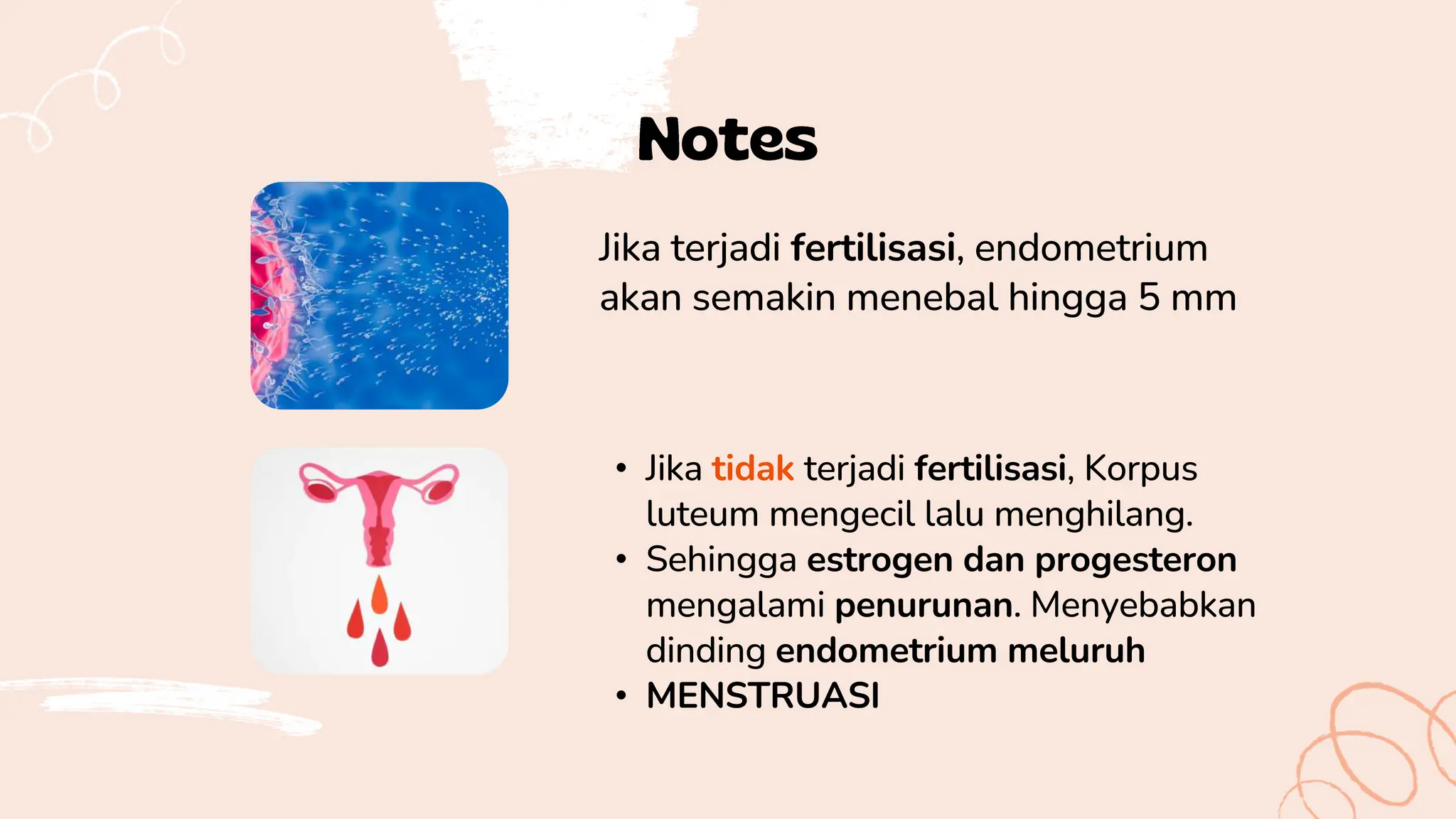 HORMON REPRODUKSI PRIA DAN WANITA__.pptx