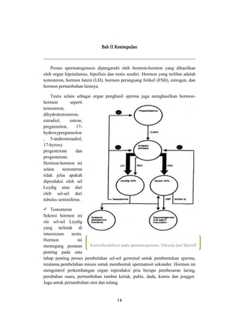 Hormon Reproduksi Pria | DOCX