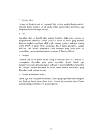 Hormon Reproduksi Pria | DOCX