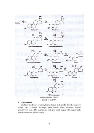 Hormon Reproduksi Pria | DOCX