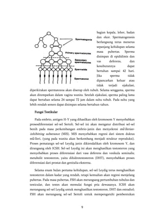 Hormon Reproduksi Pria | DOCX