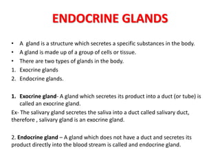 ENDOCRINE SYSTEM | PPTX | Thyroid Disorders | Endocrine and Metabolic ...