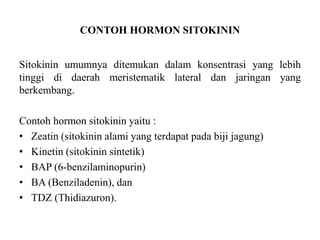 HORMON SITOKININ.pptx