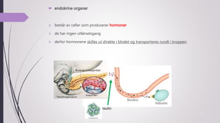 Hormonsystemet | PPTX