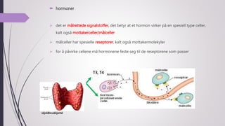 Hormonsystemet | PPTX