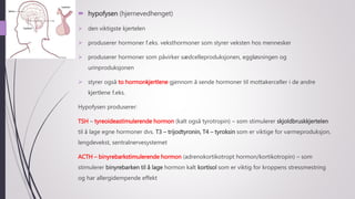 Hormonsystemet | PPTX