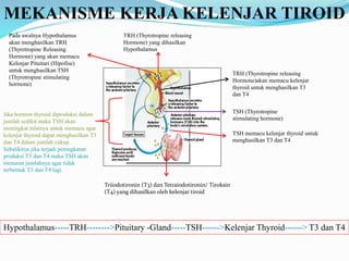 Hormon tiroid | PPT