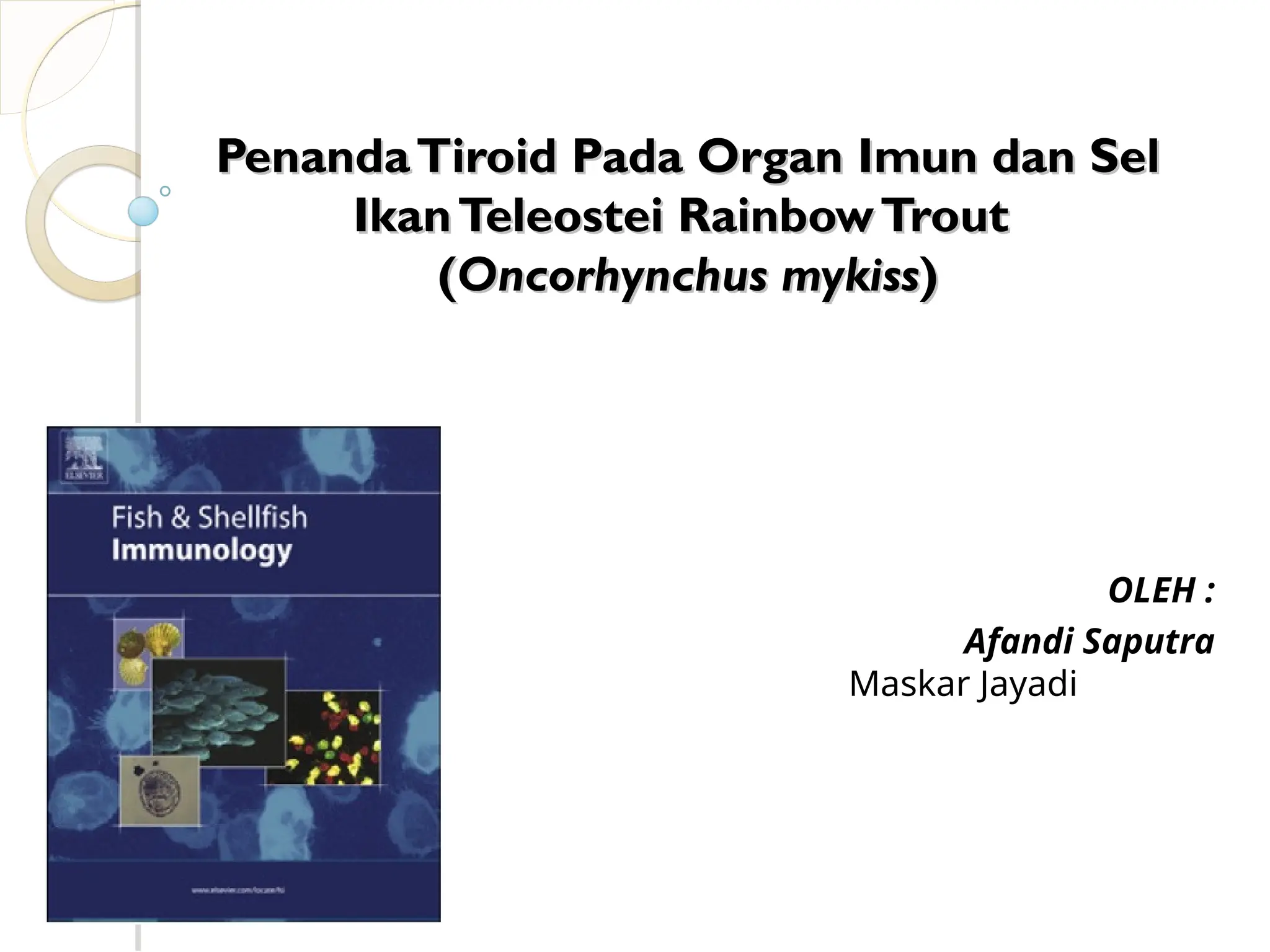 Penanda Tiroid Pada Organ Imun dan Sel Ikan Teleostei Rainbow Trout ...