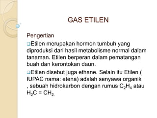 Hormon tumbuhan fistum | PPTX