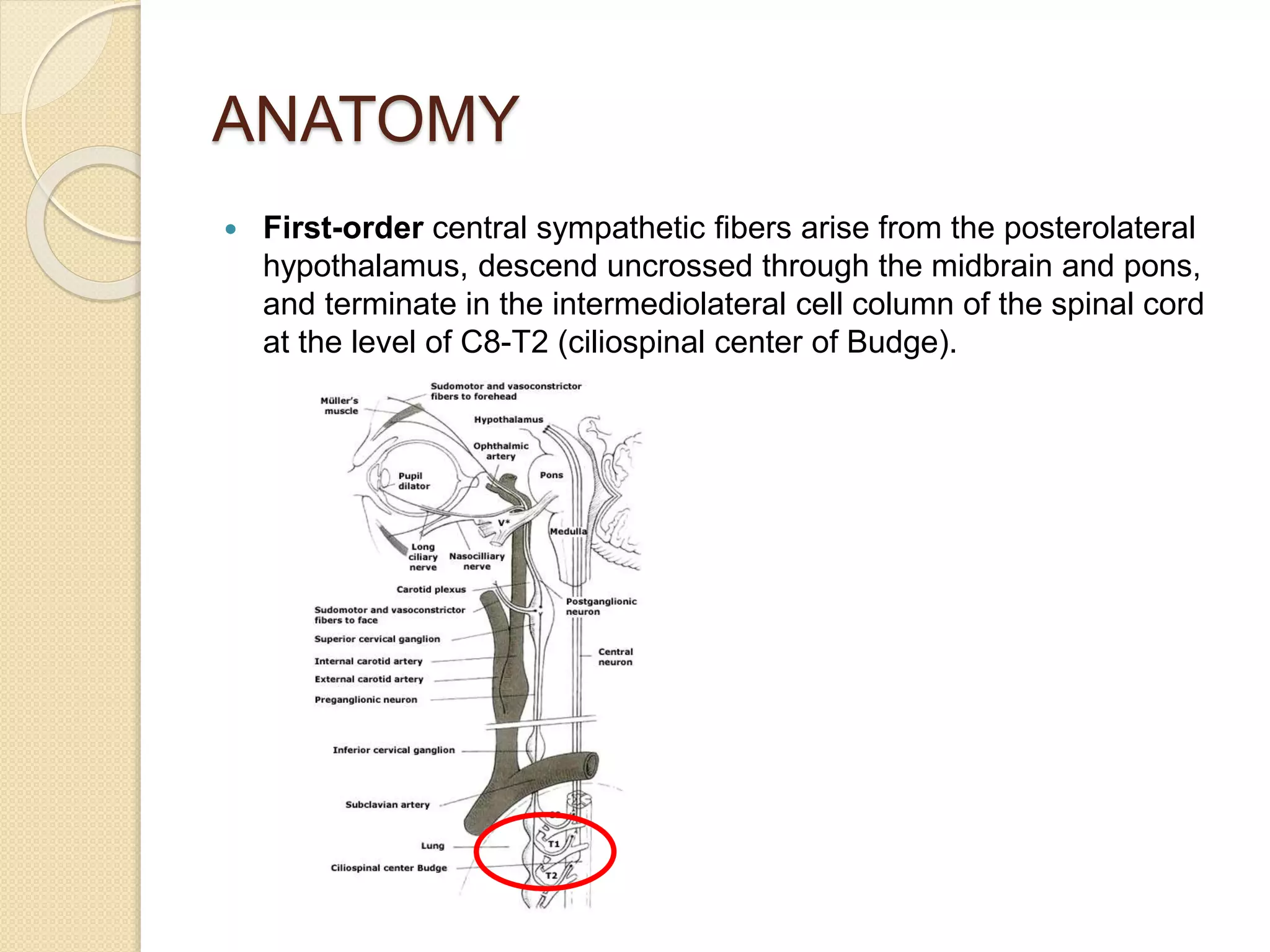 Horner’s syndrome (in respect of sympathetic trunk injury) | PPT