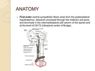 Horner’s syndrome (in respect of sympathetic trunk injury) | PPT