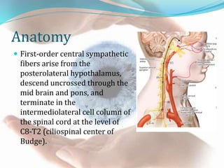 Horners syndrome | PPTX