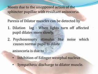 Horners syndrome | PPTX