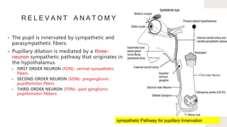 Horner's syndrome | PPTX