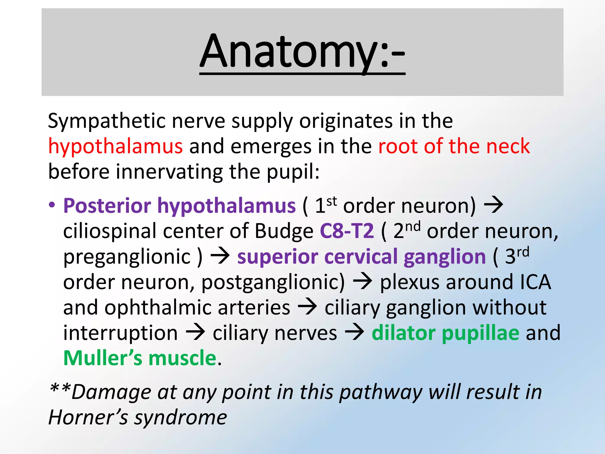 Horner syndrome. Horner's syndrome | PPTX