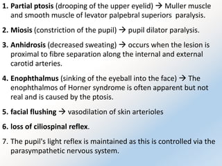 Horner syndrome. Horner's syndrome | PPTX