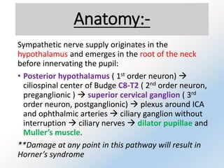 Horner syndrome. Horner's syndrome | PPTX