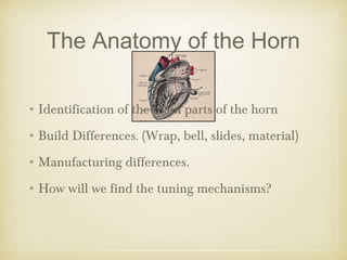 Horn Presentation | PPT