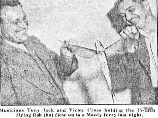 Horrible manly | PPT