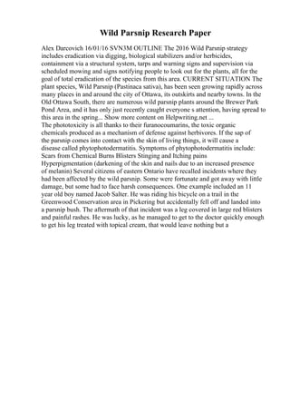 Horror Story Essay | PDF