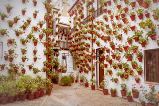 Horror vacui examples | PDF