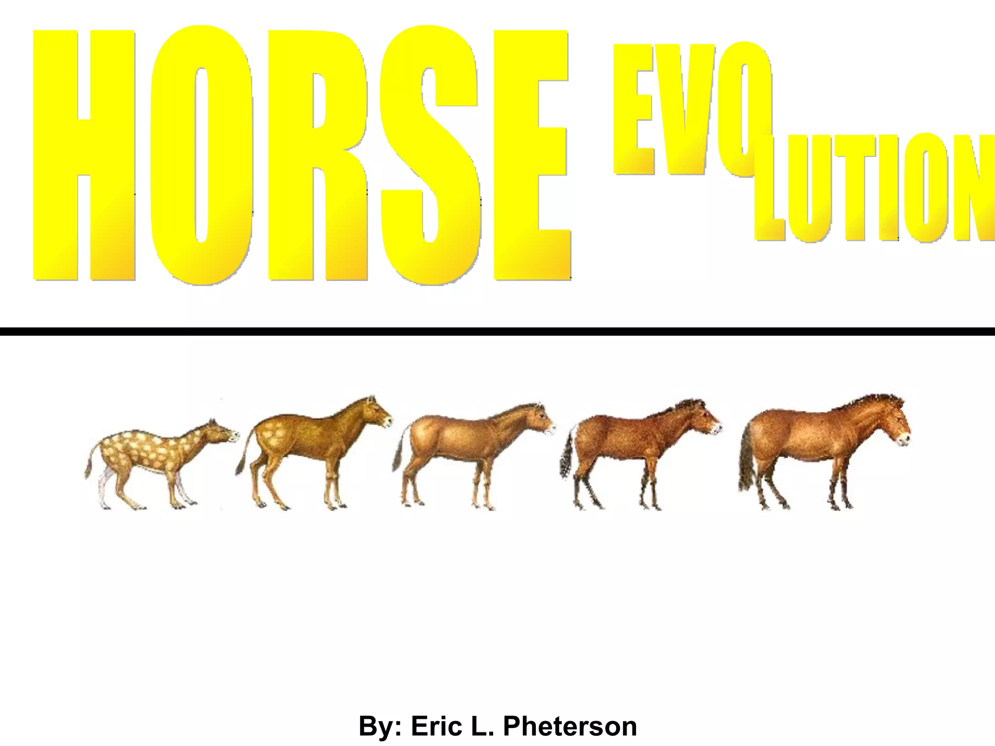 Horse Evolution | PPT