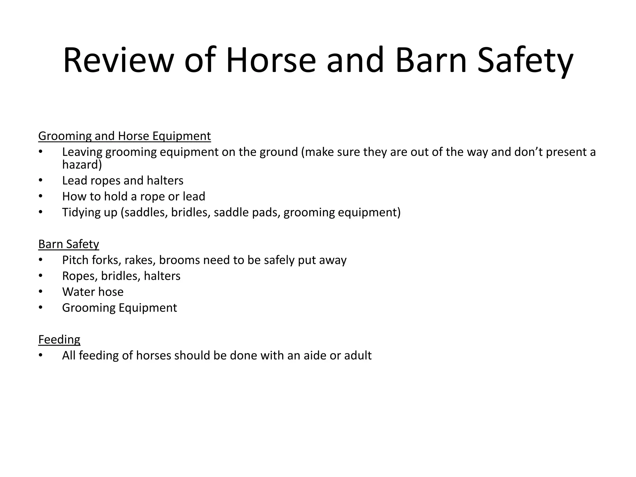 Horse riding lesson plans | PPTX