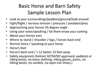 Horse riding lesson plans | PPTX