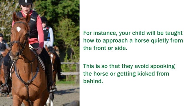 Horseback Riding Safety for Kids | PPTX | Equine Sports | Sports