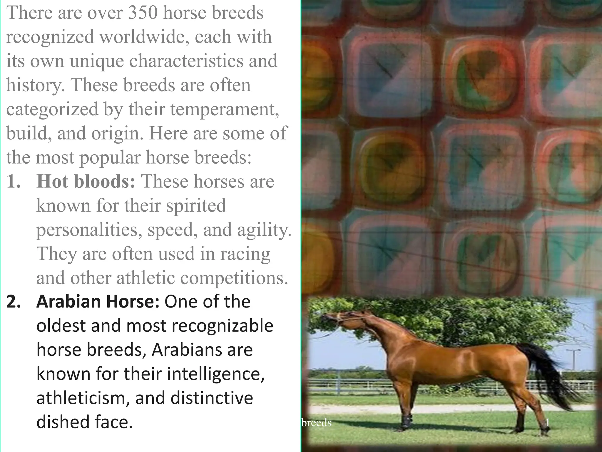 horse breeds. horse different breeds.pdf