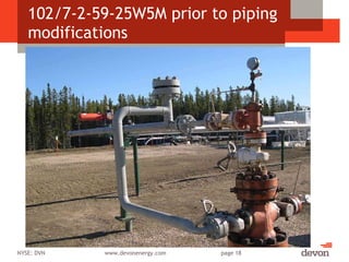 Horse Casing Slipstream | PPT