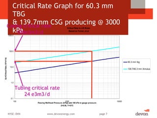 Horse Casing Slipstream | PPT
