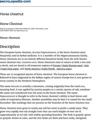 Horse chestnut facts, information, pictures | encyclopedia.com articles ...