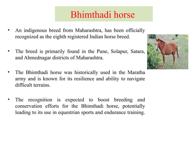 HORSE CLASSIFICATION AND BREED OF HORSE AND DONKEY.pptx