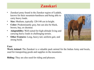 HORSE CLASSIFICATION AND BREED OF HORSE AND DONKEY.pptx