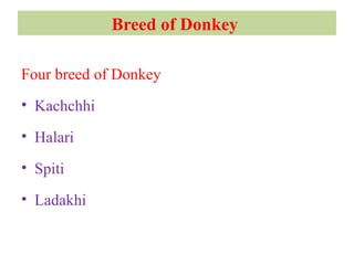 HORSE CLASSIFICATION AND BREED OF HORSE AND DONKEY.pptx