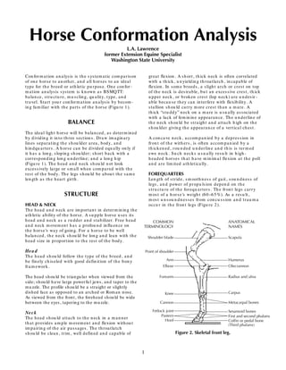 Horse Conformation Analysis | PDF